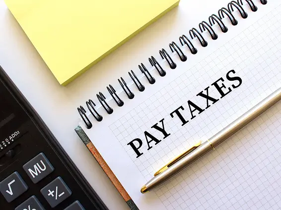 Non Profit Tax Preparation | Nonprofit Tax Services